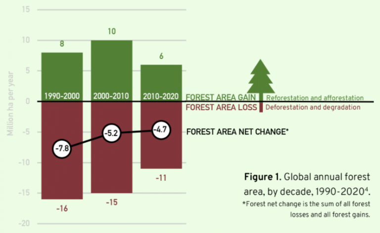 Deforestation: A Simple Guide | Resilience Constellation