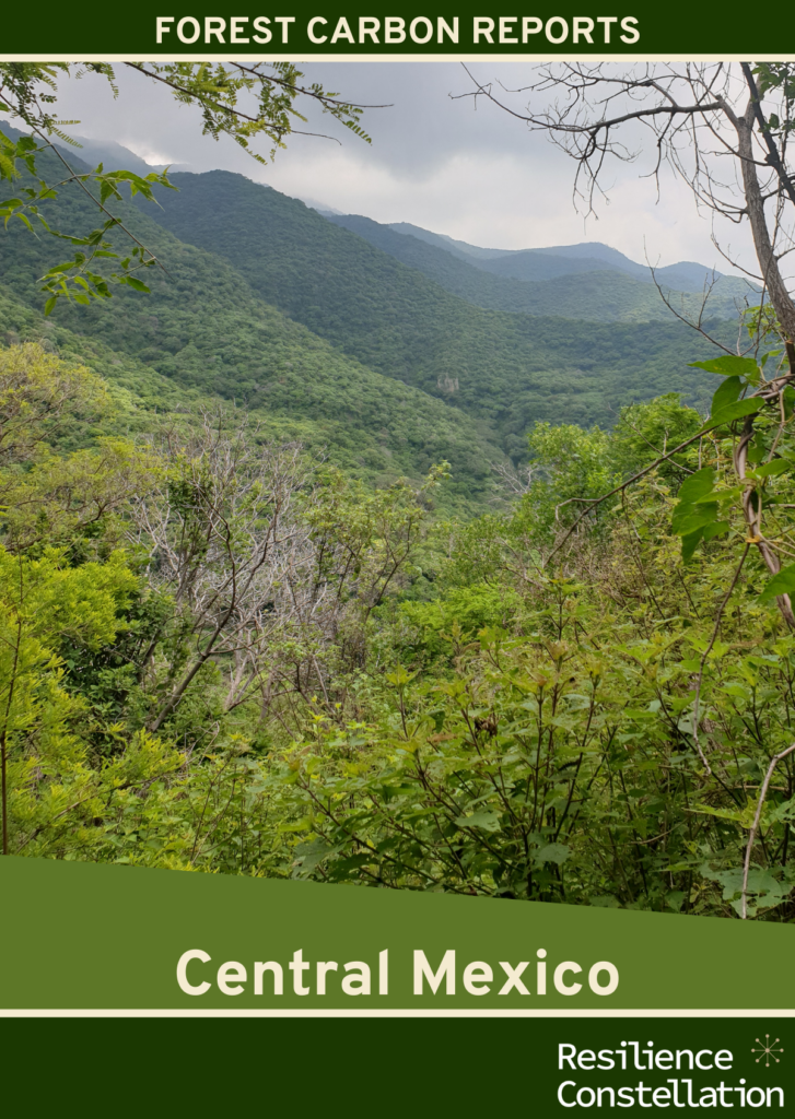 Forest Carbon Ratings - Central Mexico | Resilience Constellation