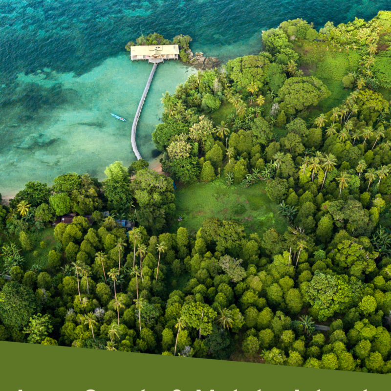 Forest Carbon Ratings - Indonesian Islands | Resilience Constellation