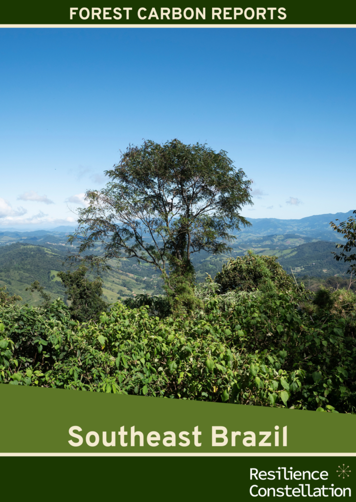Forest Carbon Ratings Southeast Brazil | Resilience Constellation