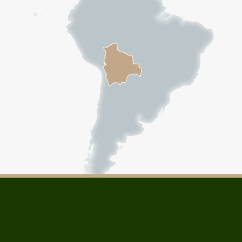 Forest Carbon Ratings - Bolivia | Resilience Constellation