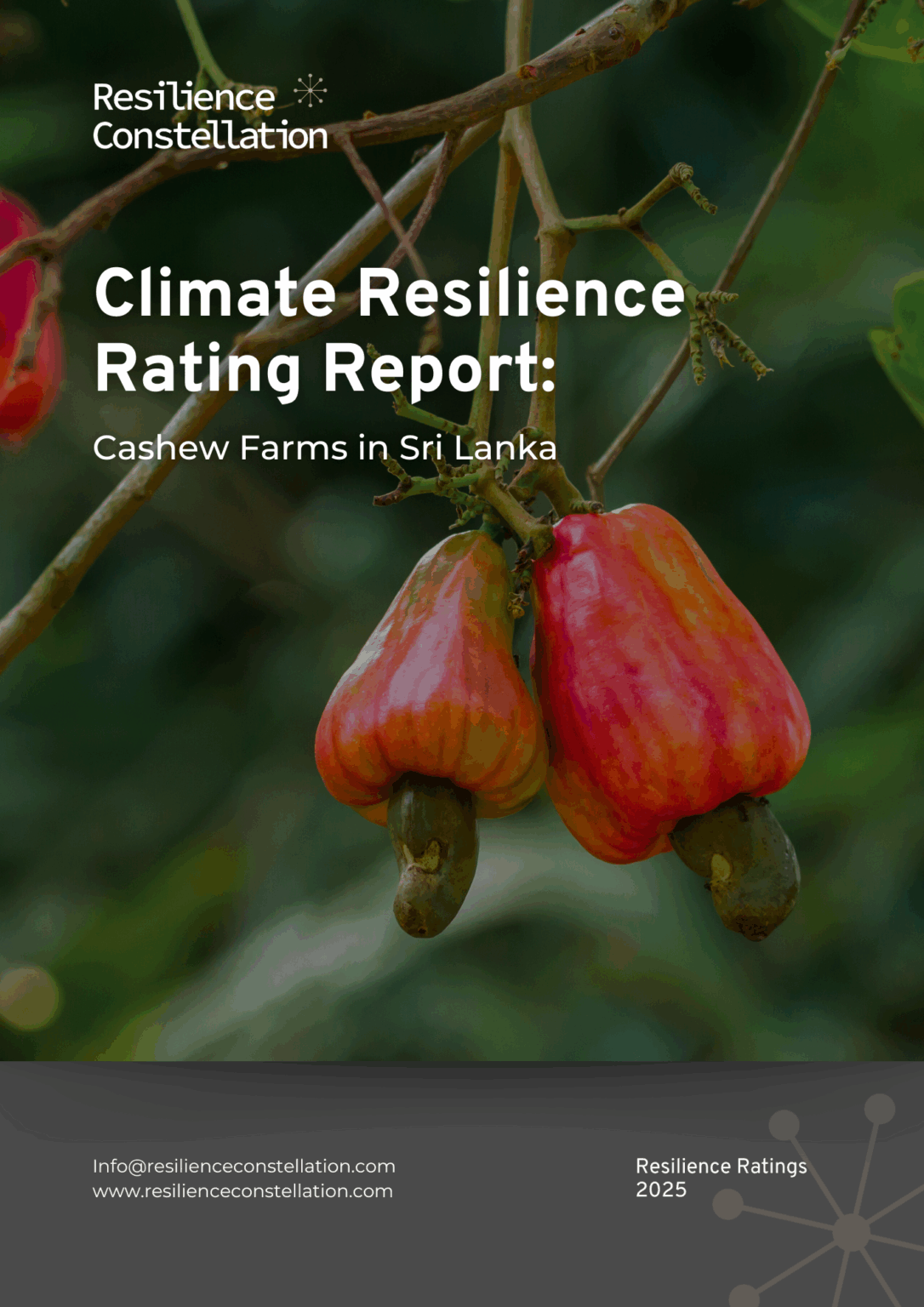 Climate Resilience Rating Report: Cashew Farms in Sri Lanka ...